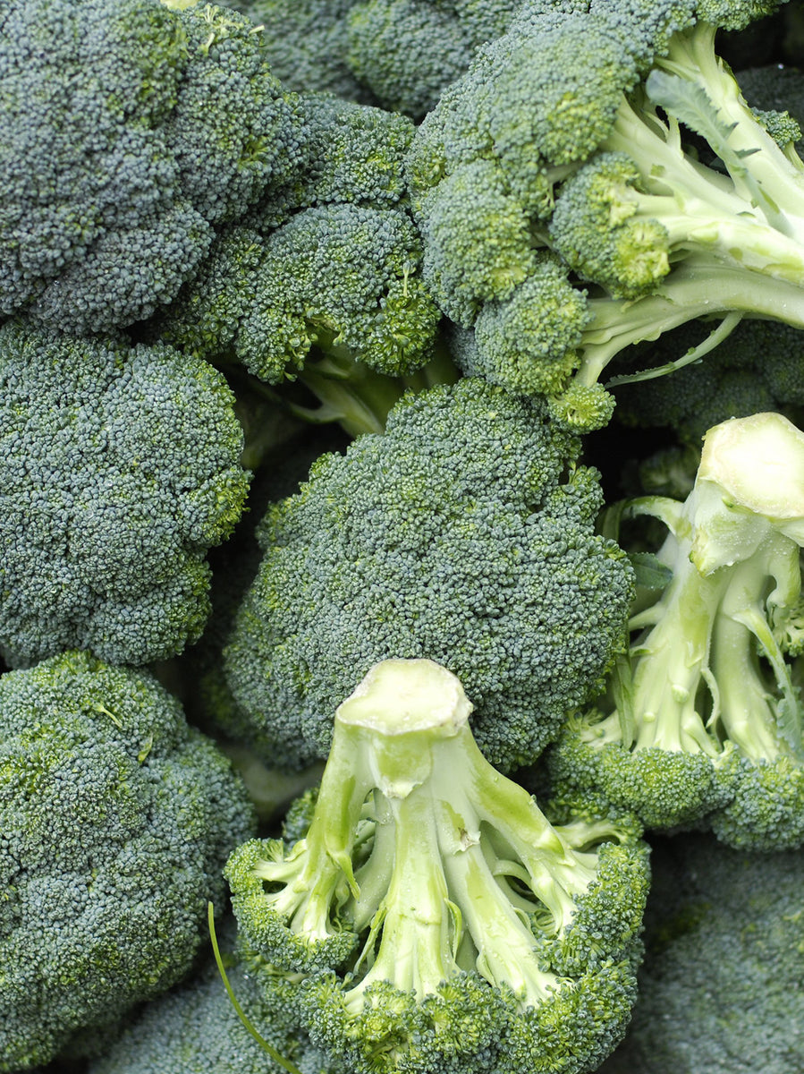 Broccoli - Bunch – Choco4NYC - Krystal Fruit & Vegetables